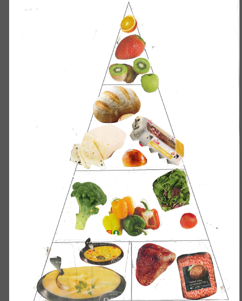 My World of Comenius in Denmark..: Healthy Life Coaches build their ...