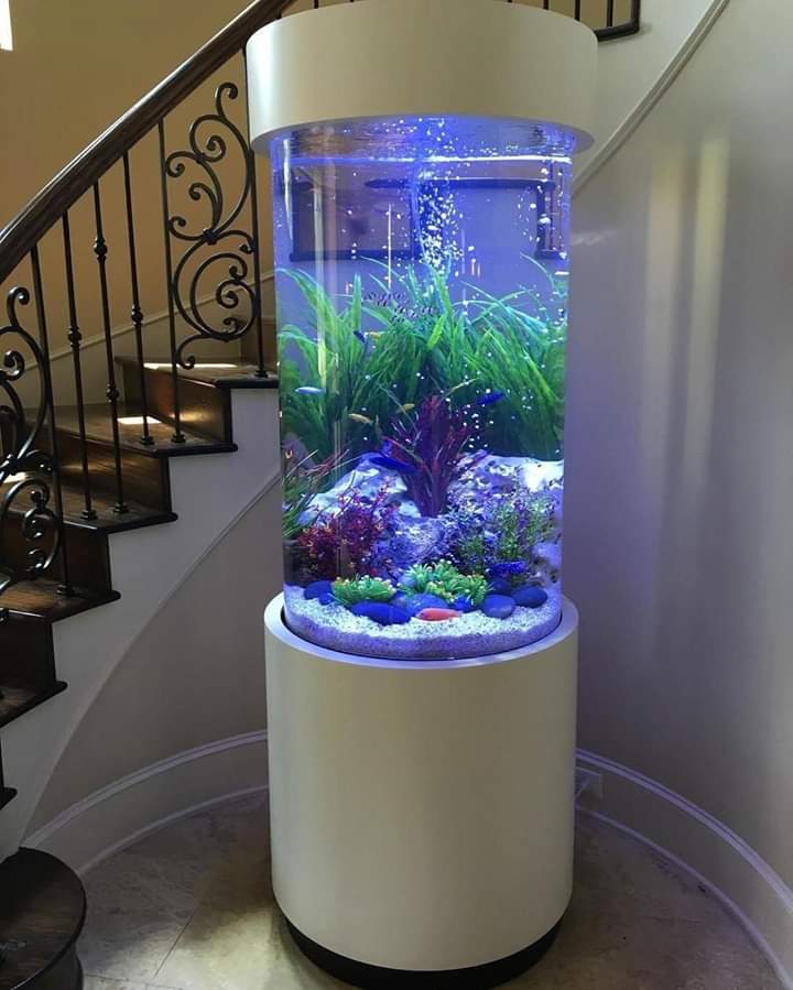 Aquarium design 👌 👌 👌 - INFO PROPERTI INDONESIA