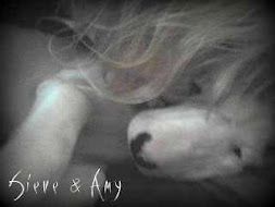 Teddy dreams: Artist realistic Teddy Bear Cuthbert