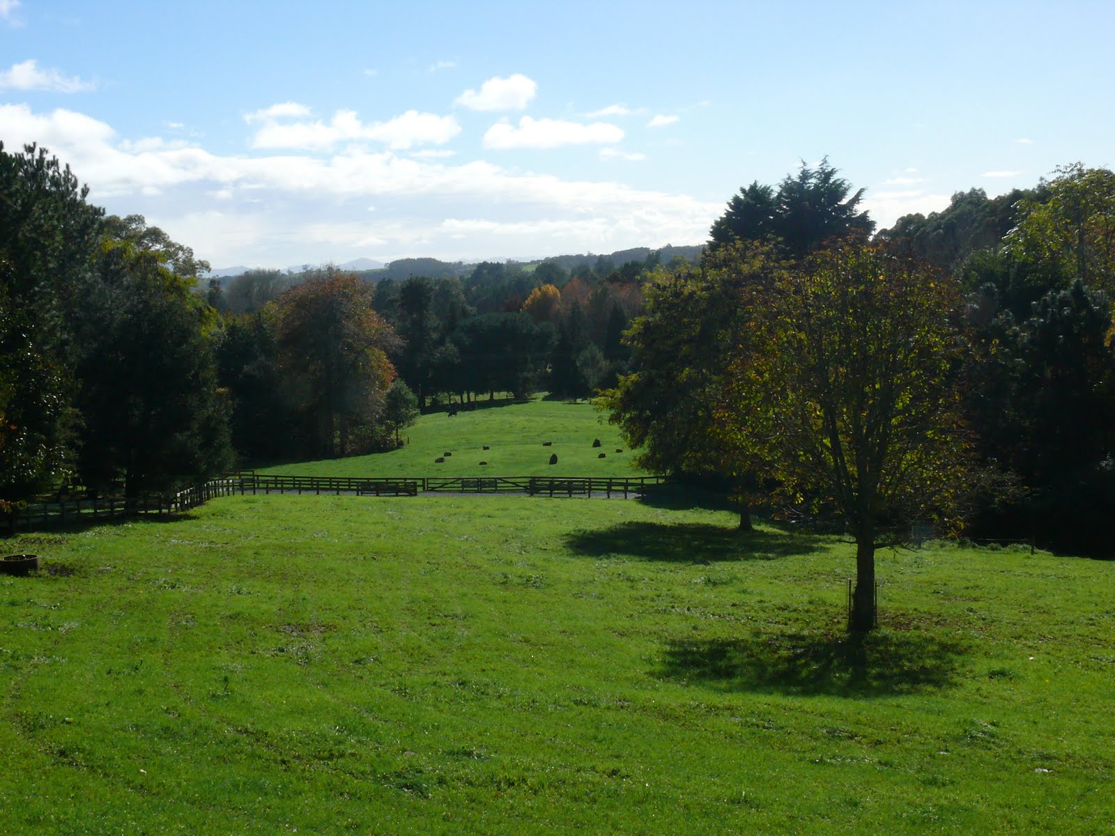 an extension to Grrr's mind...: Taitua Arboretum in Autumn