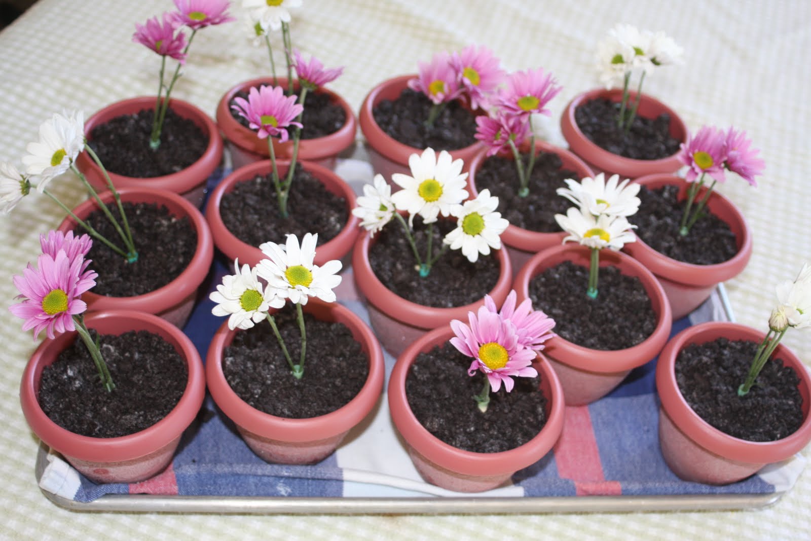 Creating Domestic Bliss!: Flower Pot Dessert