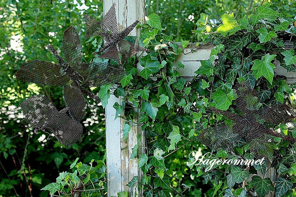 Hagerommet: Store insekter.....