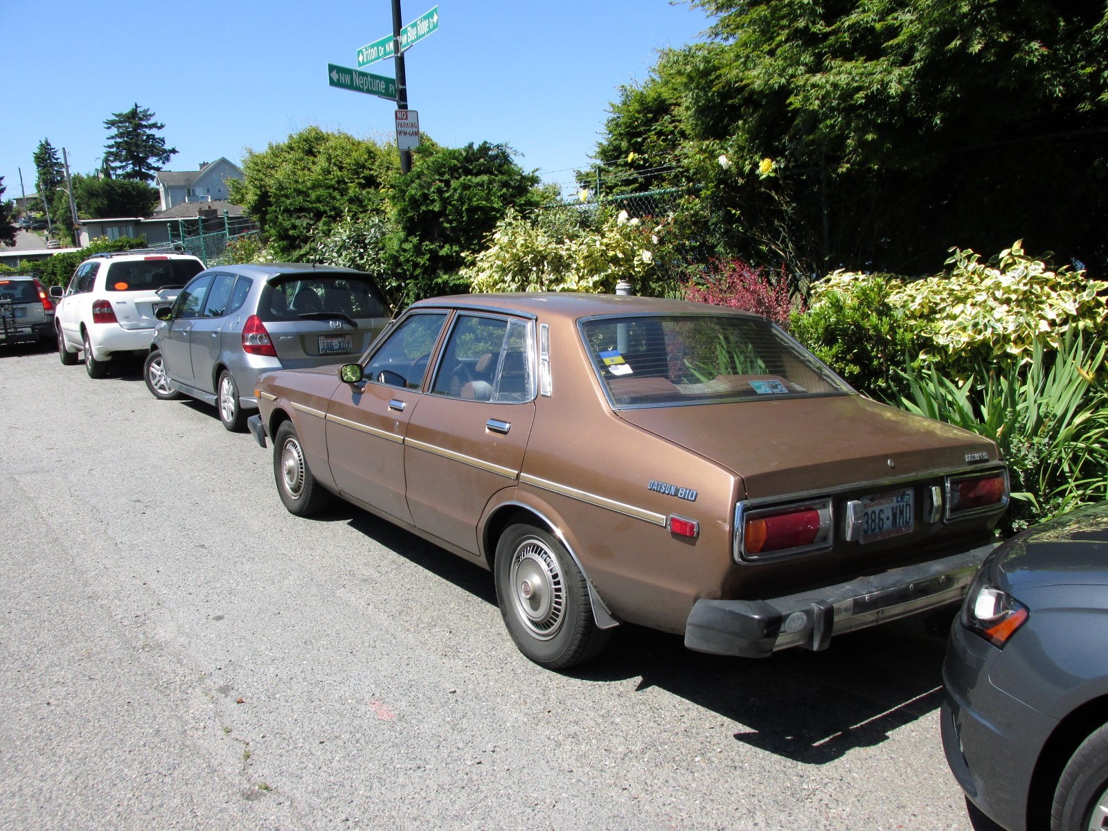 Seattle's Classics: 1977 Datsun 810 Sedan