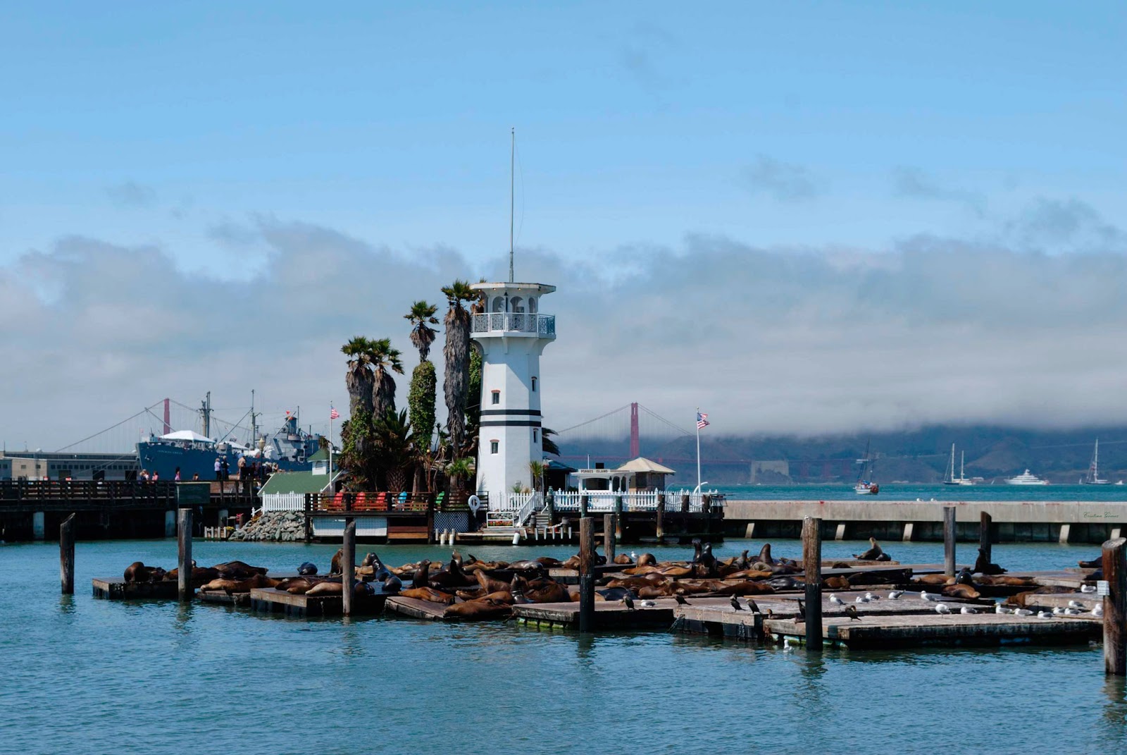 Embarcadero, San Francisco | Memories of the Pacific