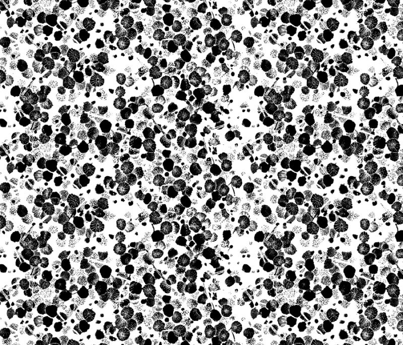 Amassing Stuff: Deanne Cheuk