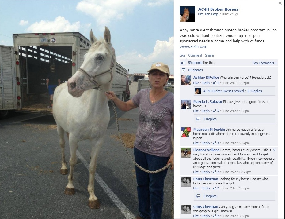 Tornado: Those that live in glass houses shouldn't throw stones.........