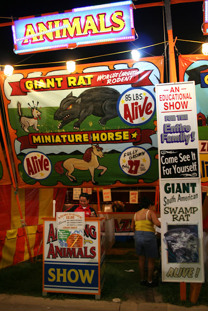 The Carpetbagger: The Modern Day Freak Show