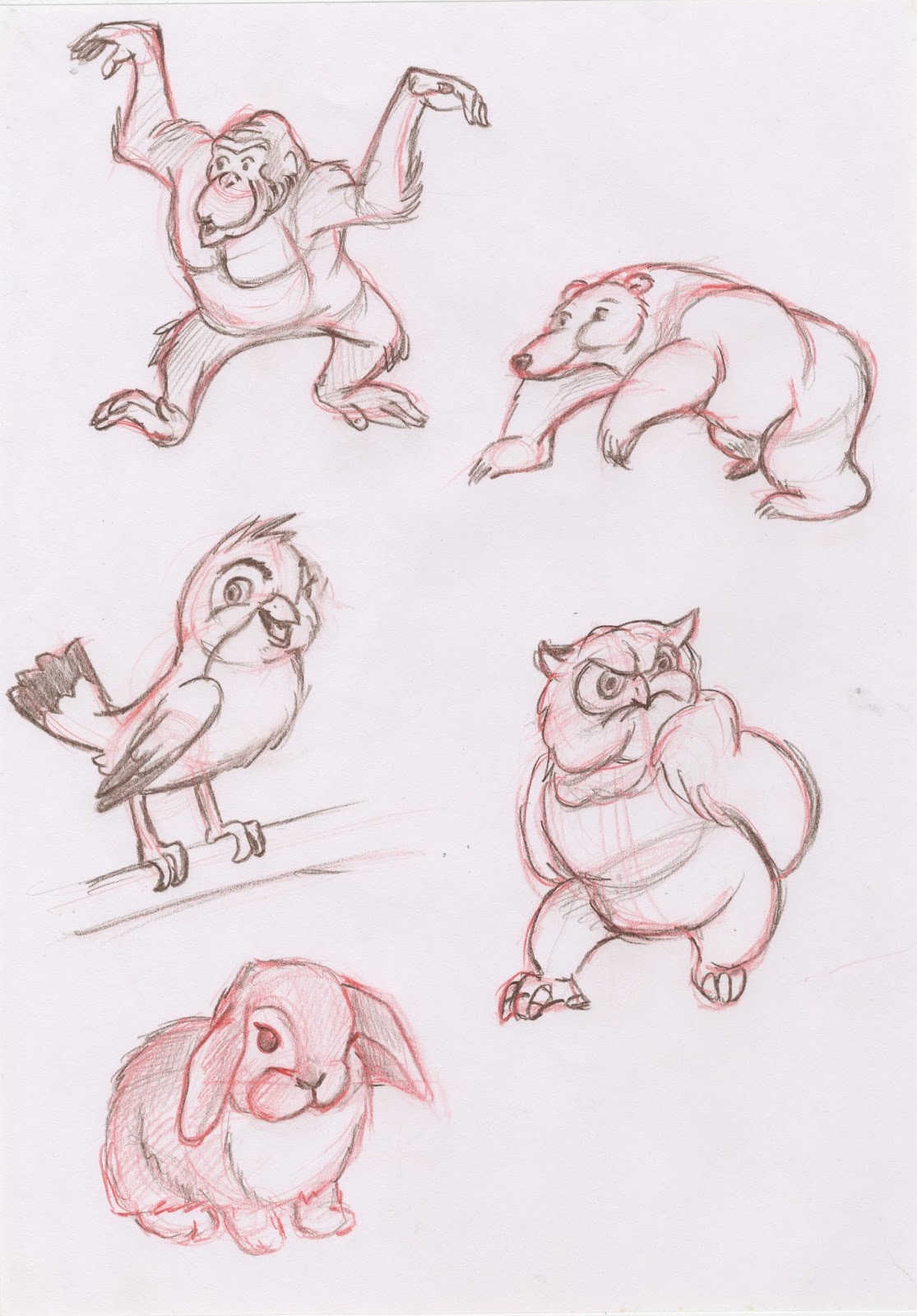 Contextual Portfolio : Animal Drawings