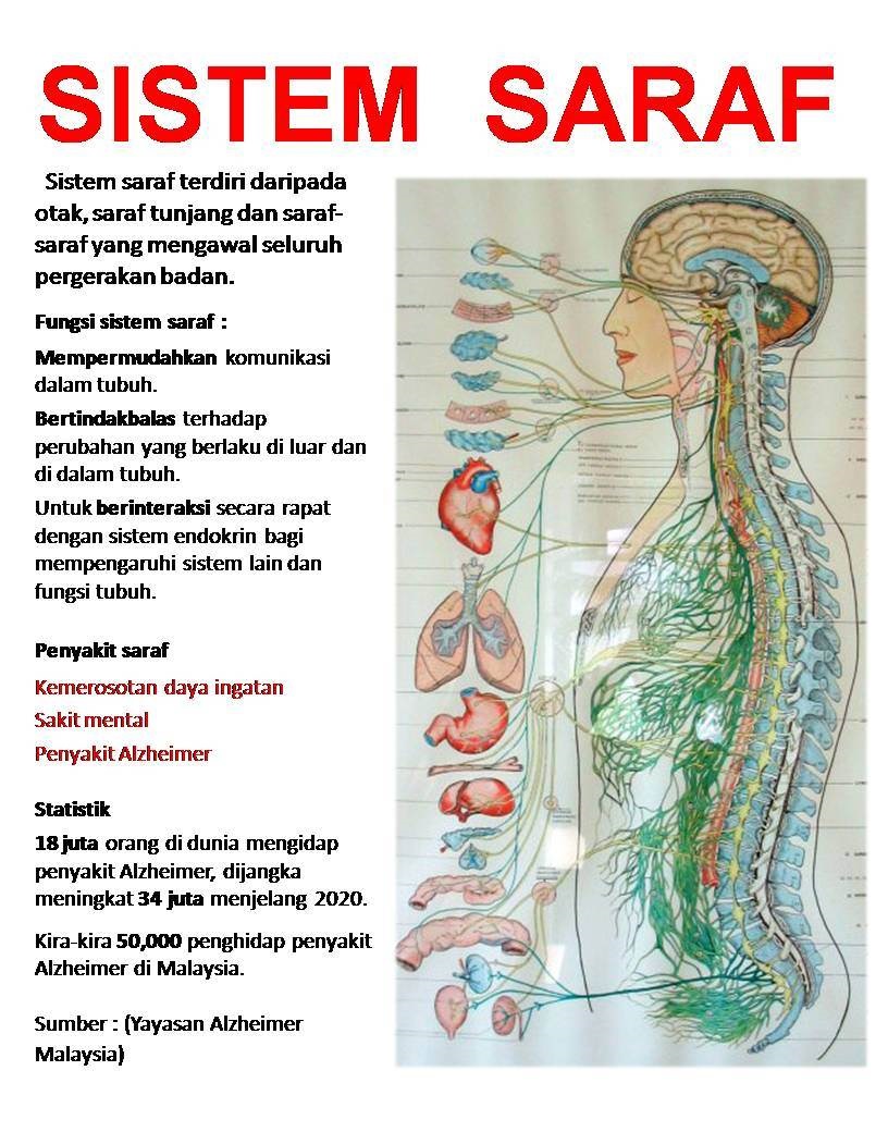 PUSAT TERAPI AL-IZDIHAAR: Urut Urat Saraf Di Pusat Terapi Al-Izdihaar ...