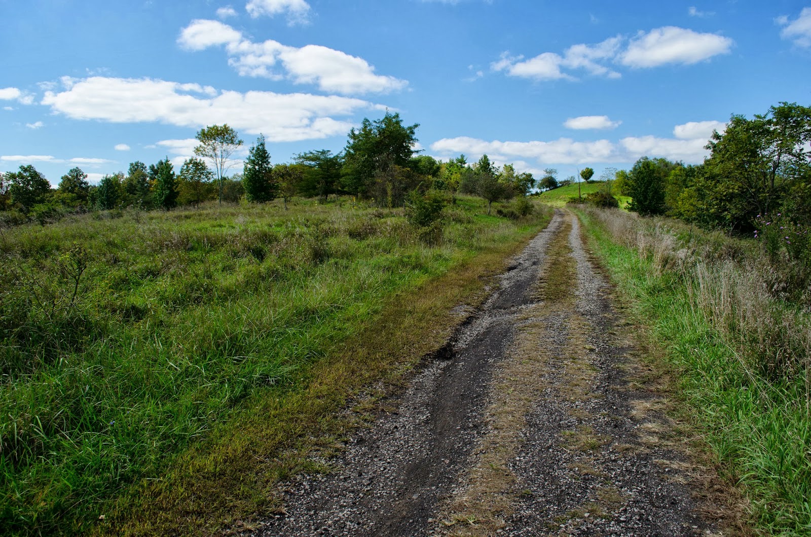 On the Subject of Nature: Radar Hill and The Ridges
