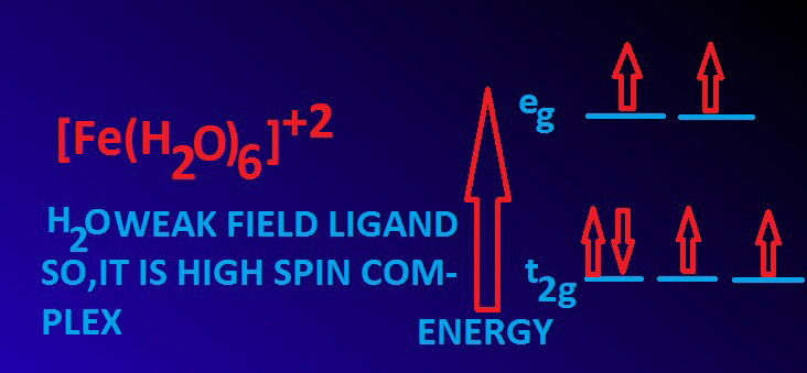 Why [Fe(CN)6]4- is diamagnetic where as [Fe(H2O)6]+2 is highly ...
