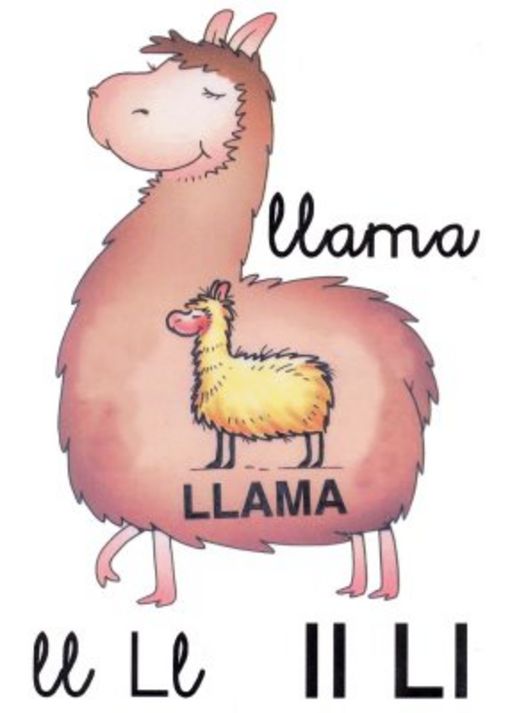 Imagenes de animales que empiecen con la letra ch - Imagui