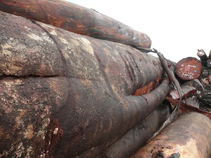 BLCO,FLCO, CRUDE OIL,MAZUT,FOCADOS, JP54, D2, LPFO,JETFUEL,PMS,FLCO,AGO