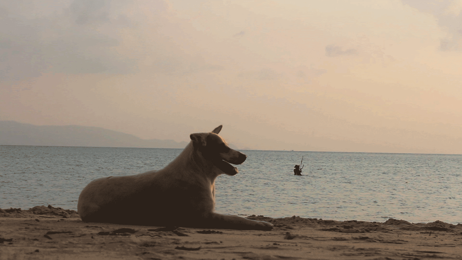 Madison Opalinski: 2019