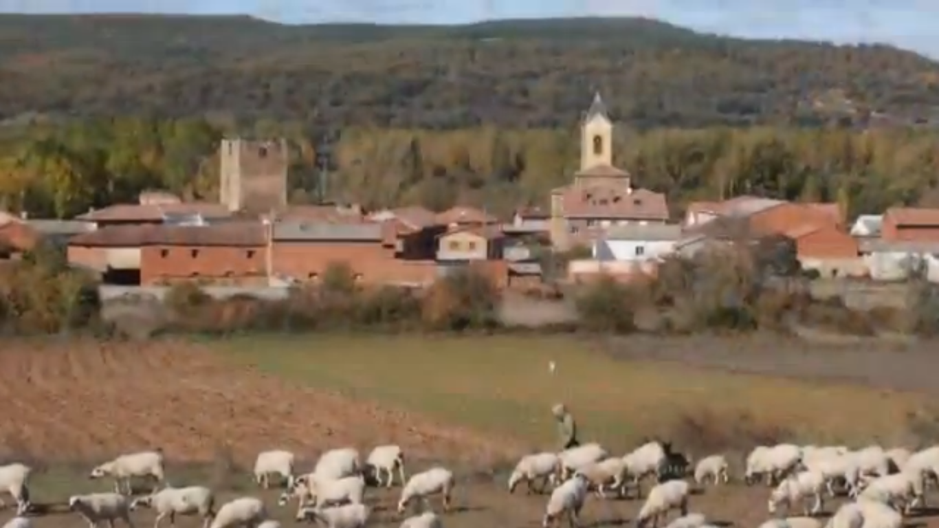 El Otoño 2012 en la Comarca de Rueda