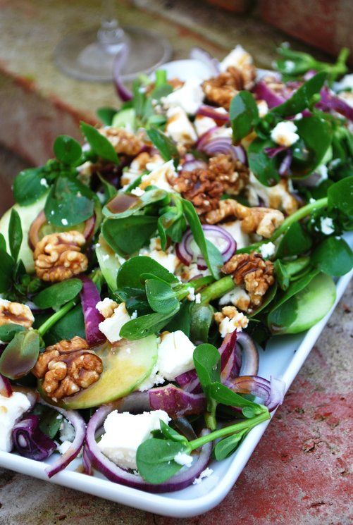 Tanaman Hias Krokot atau Portulaka ~ Tanaman Hias