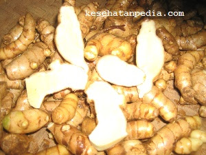 Kandungan dan Manfaat Temu Putih untuk Kesehatan - kesehatanpedia