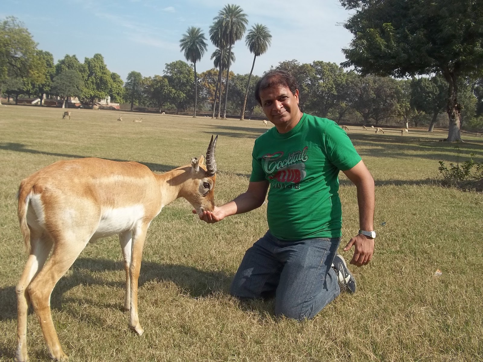 Wanderlust: Malsi Deer Park - Dehradun