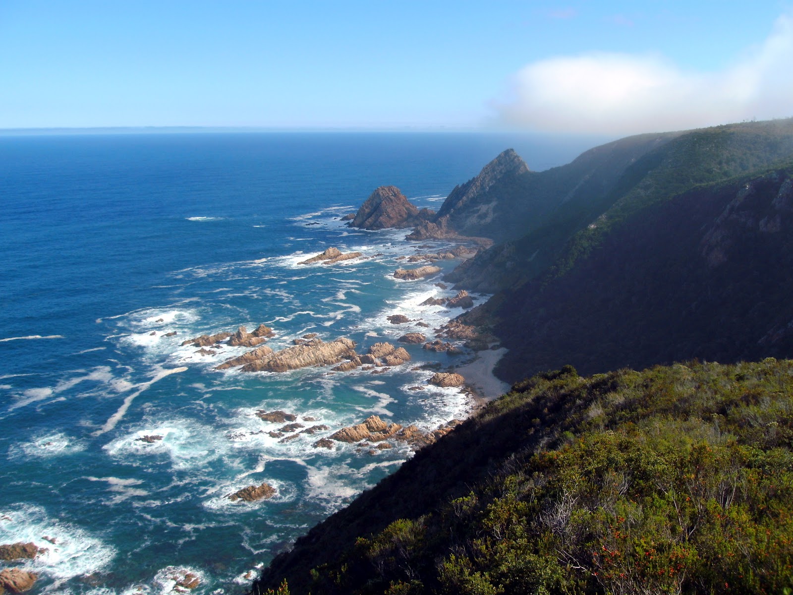The Boozy Prune: The Harkerville Coastal Trail - not just a walk in the ...