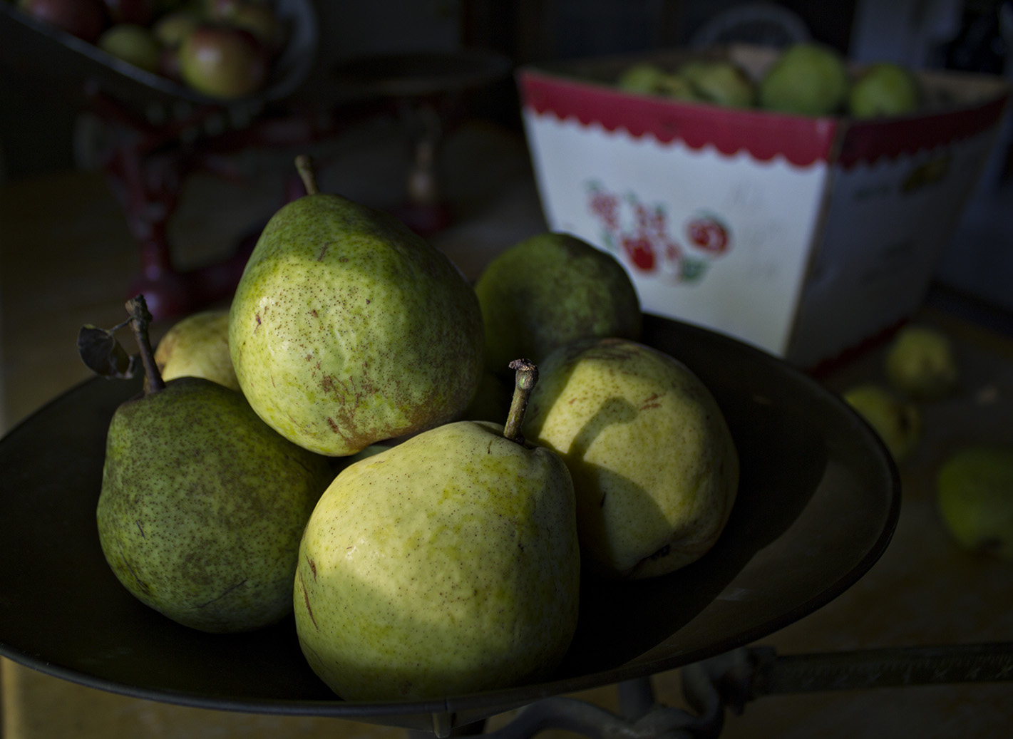 Rurification | Robin Edmundson: Pears