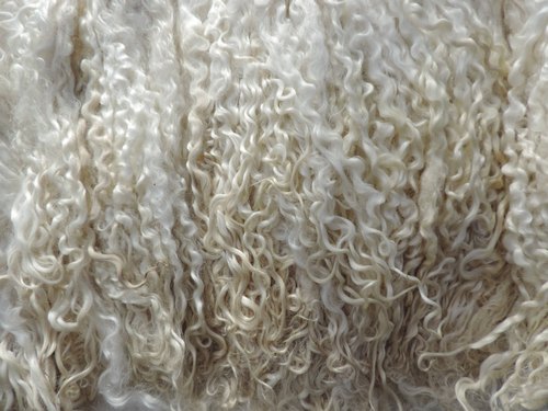 Wool Fiber | Properties of Wool Fiber | Classification of Wool ...