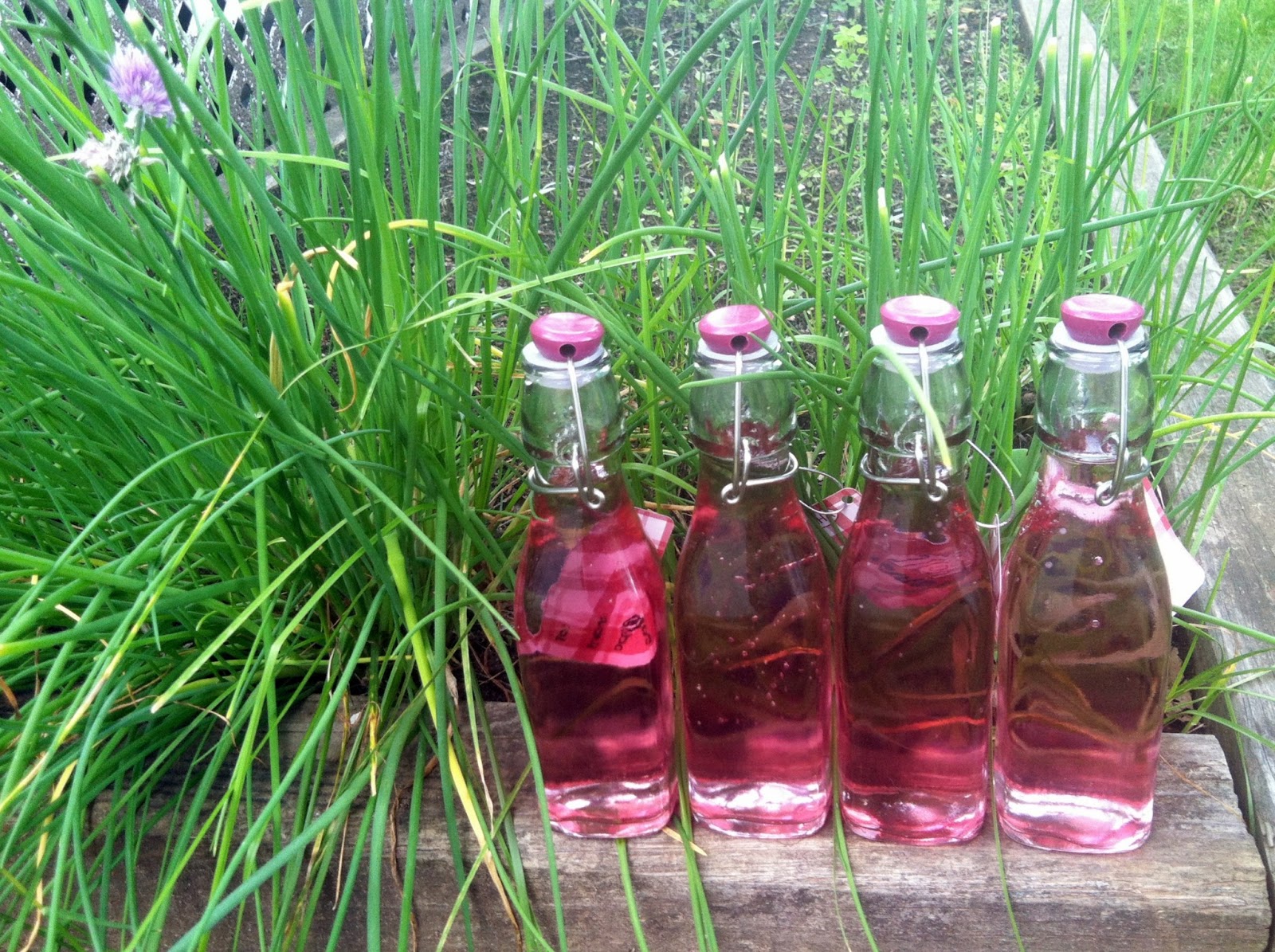 A Couple in the Kitchen: Chive Blossom Vinegar