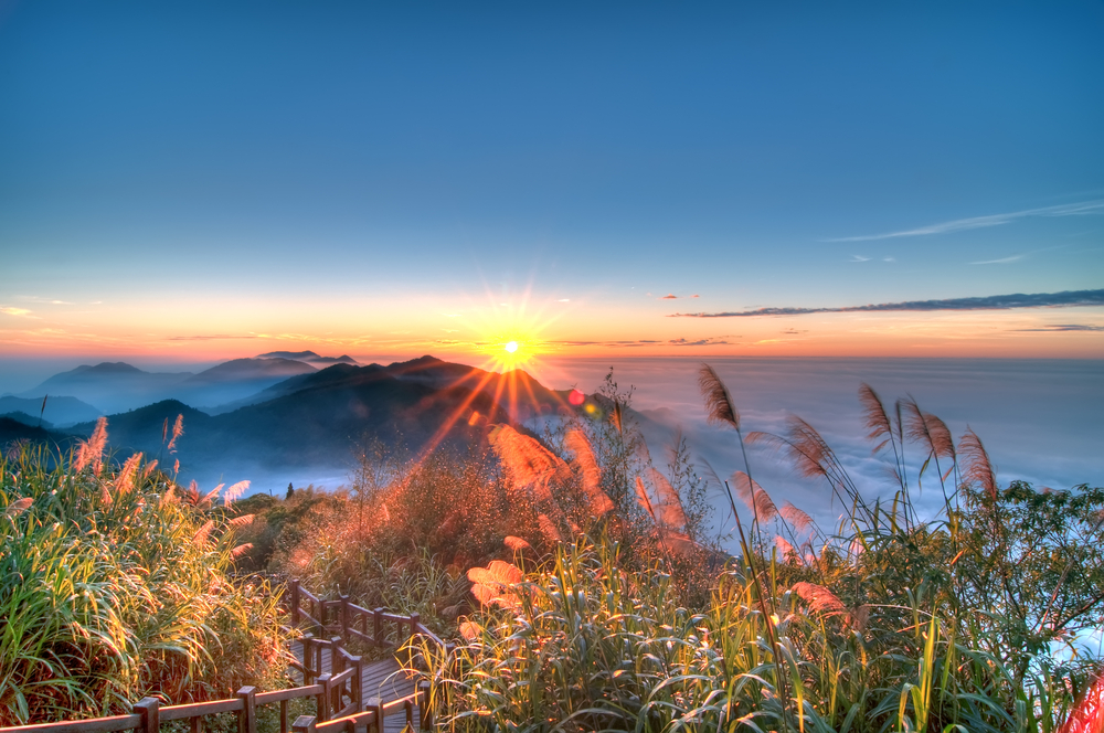 Wisata: Mountain Alishan Taiwan