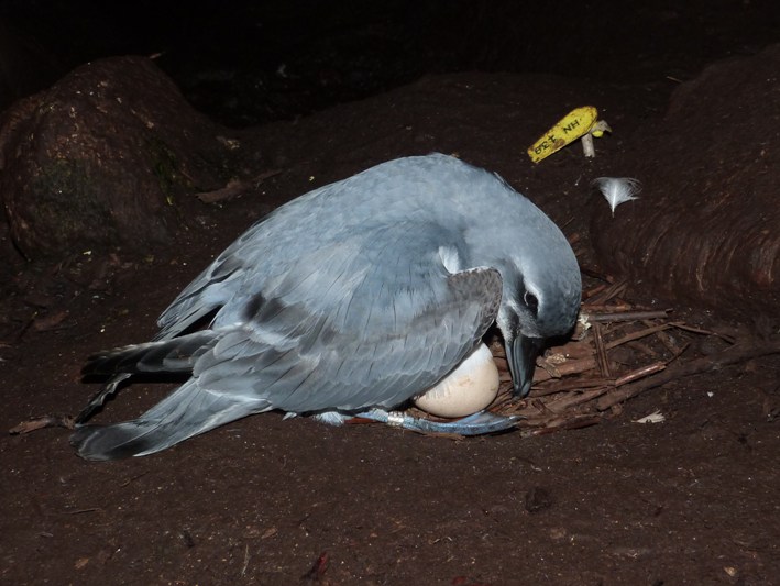 2000 Miles from Anywhere...: April 2017