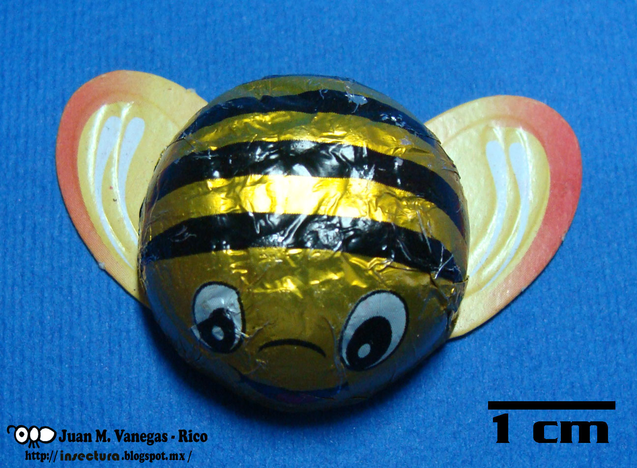 INSECTURA: chocolates con forma de abeja y catarina