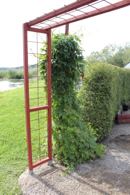 Mycket annat & lite betong: Portal in till köksträdgården | Hängande ...