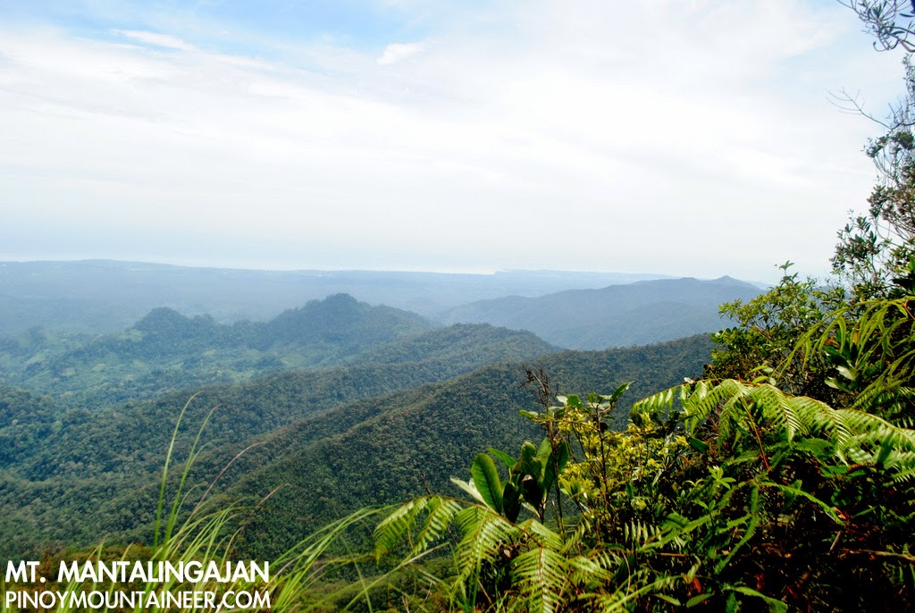 Hiking matters #409: Mt. Mantalingajan Traverse Day 2 - From Cabugan to ...