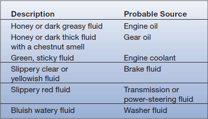 Fluid Leaks: Evaluating the Engine's Condition ~ Self-Taught Engineering