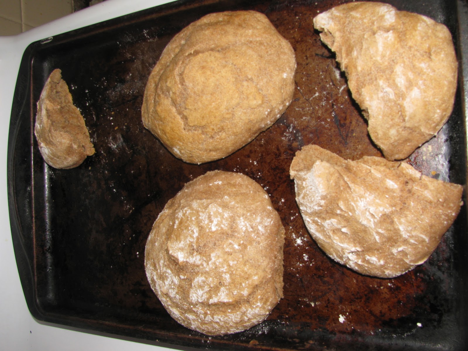 Shana's Meal Blog: Daily homemade bread from "Artisan Bread in Five ...