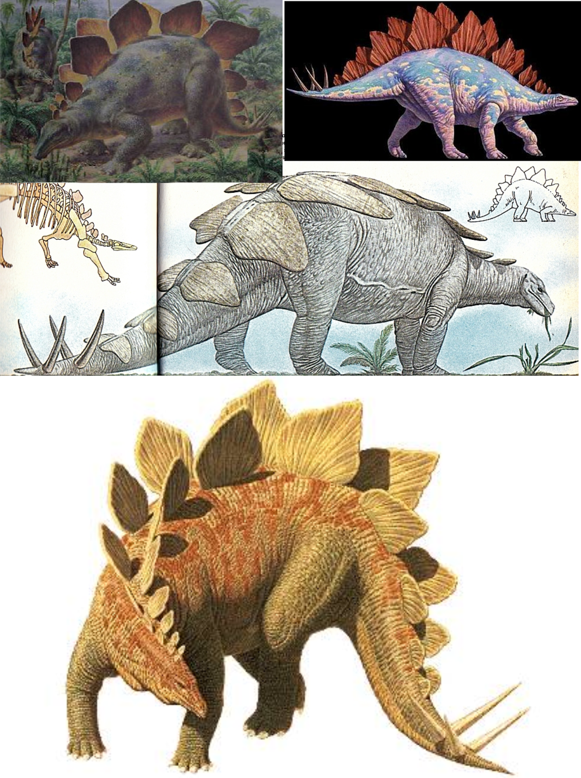 Extinct Animal of the Week: May 2015
