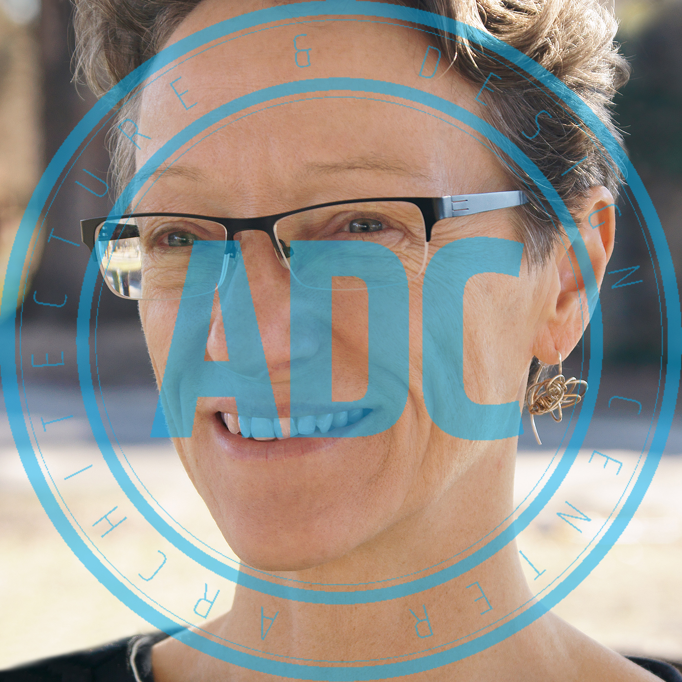 Architecture and Design Center Shoptalk: #23 - Ellen Dunham-Jones - Why ...