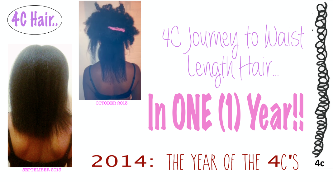 4c Journey to WL in 1 YEAR!: Resources: Hair Length Chart