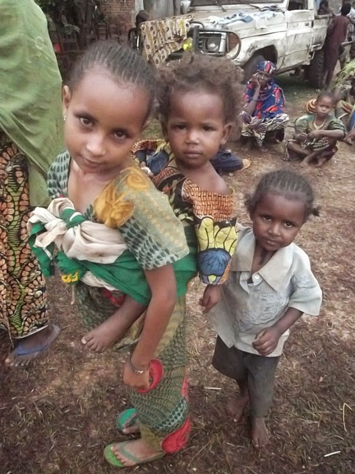 Cameroon – Humanitarian Crisis in North Cameroon – 10000 + Conflict ...