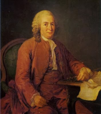 Carlo Linneo. Storia.