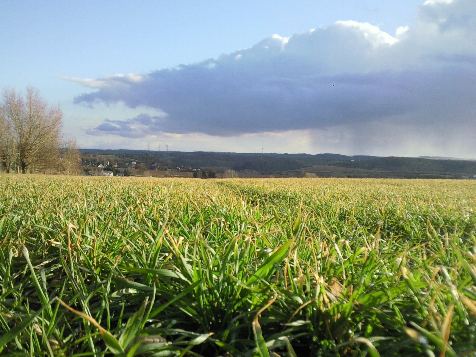 Photografie by Jemmy: Das Feld