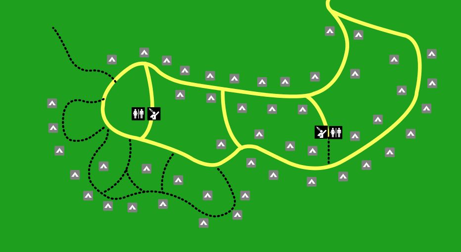 Nice Camps: Paynes Prairie State Preserve