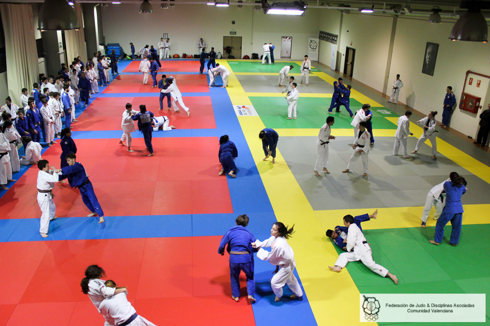 JUDO: El judo como deporte olímpico.