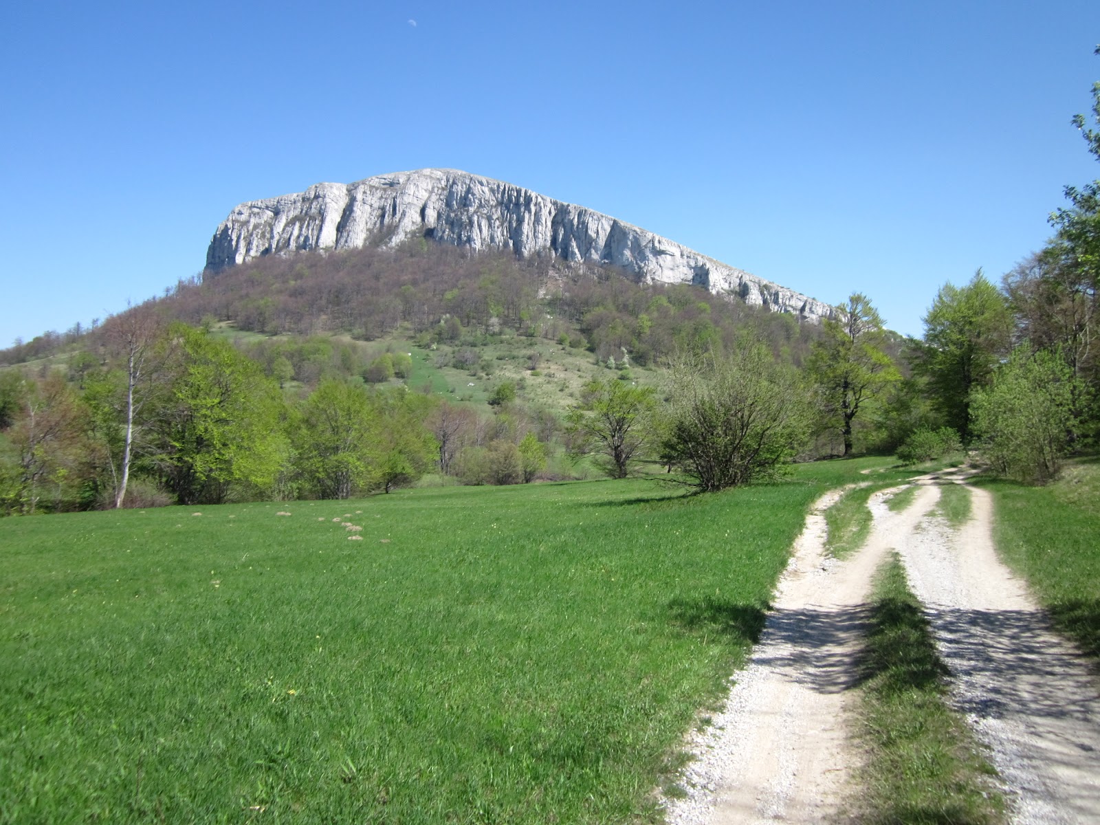 Avanture, Biciklizam, Slike: Biciklizam Bor planina Stol 2012