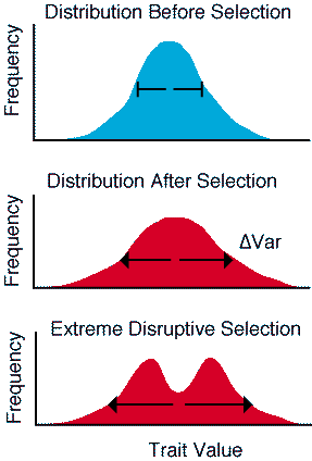 Bio Geo Nerd: April 2014