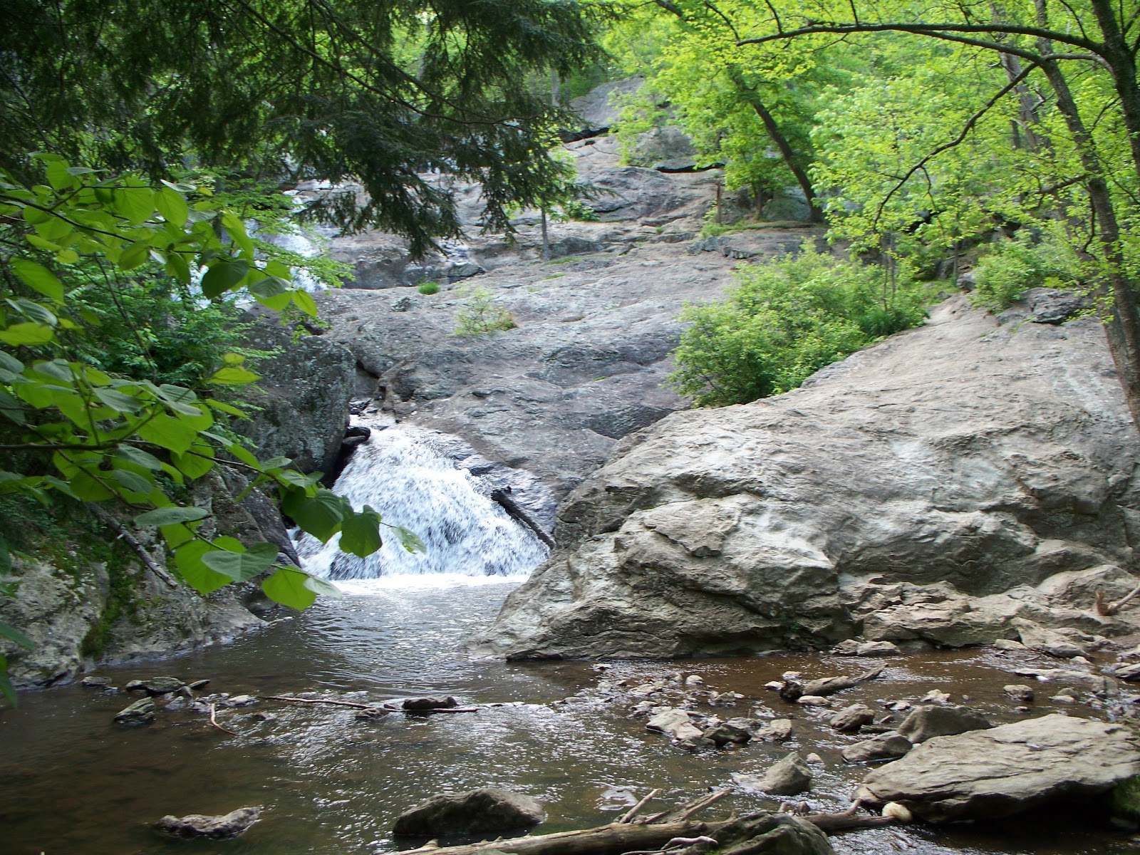 A Taste For The Woods: Cunningham Falls State Park, Maryland