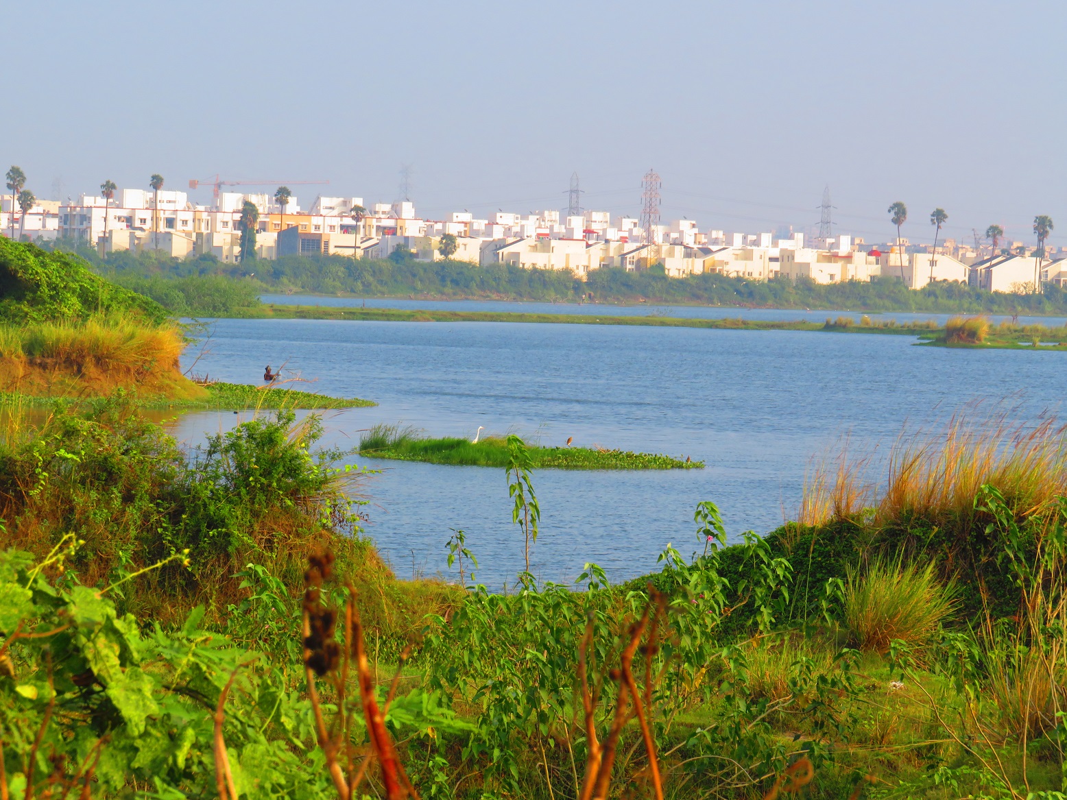 Perumbakkam Lake (Waterbodies of Chennai - 53)
