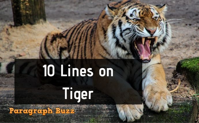 10 Lines on Tiger in English