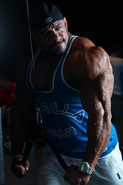 Muscle Lover: The incredible Anwar El Sayed!