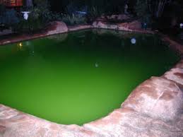 Secrets of Fernbrook Resort - Freelton, Ontario, Canada: Lord Mayor of ...