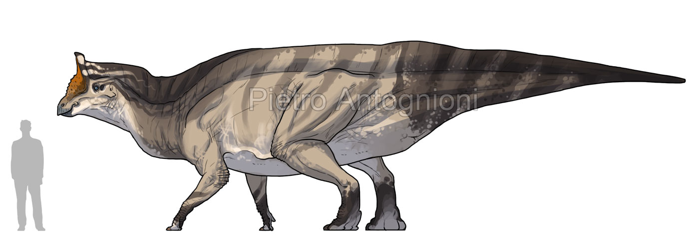 Pietro's Paleoart