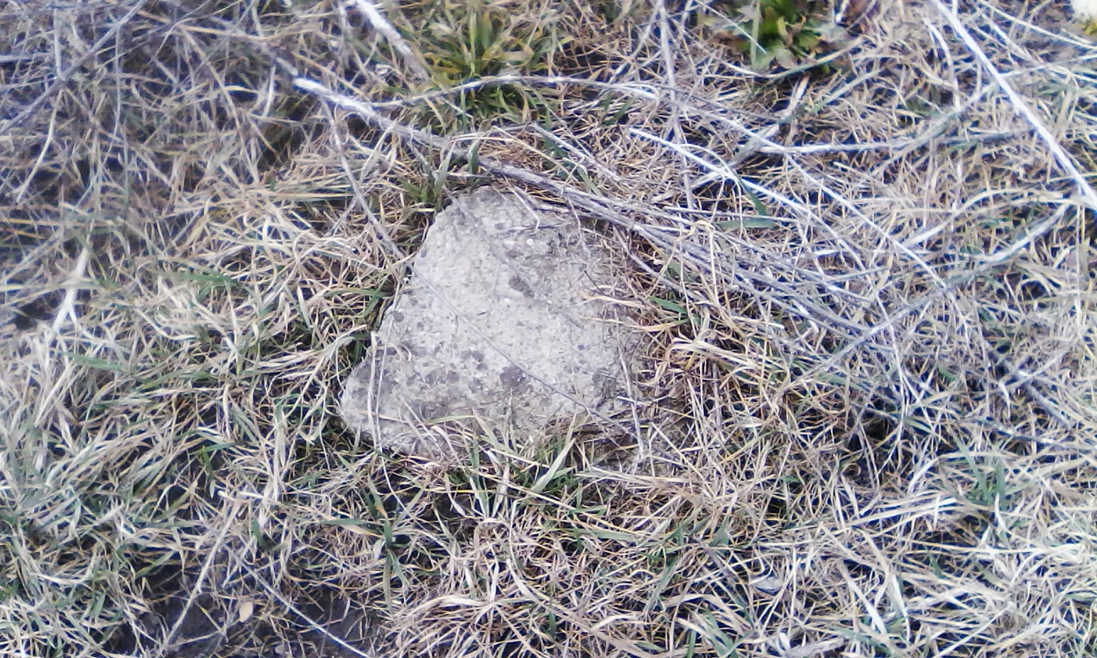 Az én Zichysi tanyám!: Márciusi Teszek veszek.